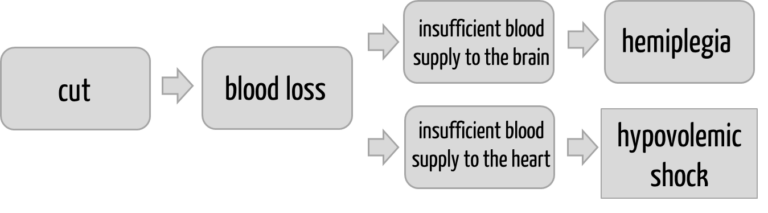 Harm according to ISO 14971 ~ Understand the chain of causes